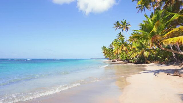 "Island Top View" Images – Browse 928 Stock Photos, Vectors, and Video ...