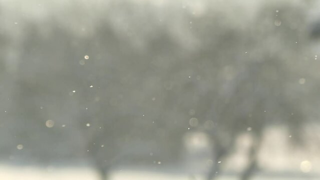 Phenomenon Images – Parcourir 167,067 le catalogue de photos, vecteurs ...