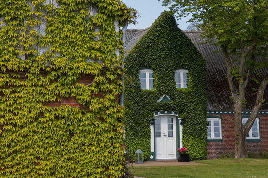 Toftum Images – Browse 38 Stock Photos, Vectors, and Video | Adobe Stock