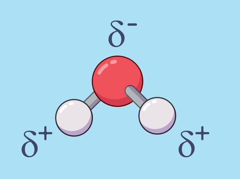 H20 Billeder – Gennemse 4,074 stockfotos, vektorer og videoer | Adobe Stock
