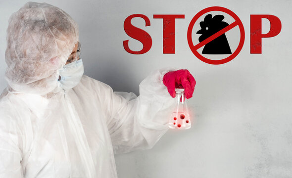 Roosters Prohibited Sign Images – Browse 164 Stock Photos, Vectors, and ...