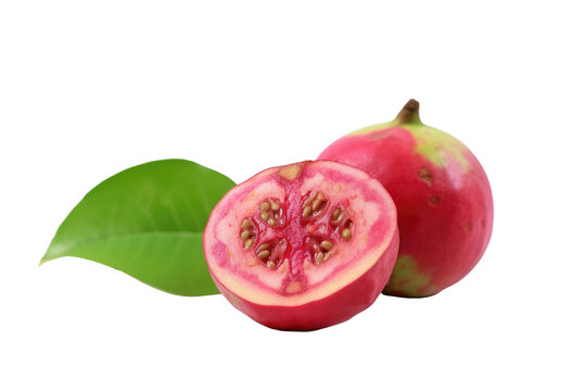 "Pink Guava" Bilder – Durchsuchen 360 Archivfotos, Vektorgrafiken und ...