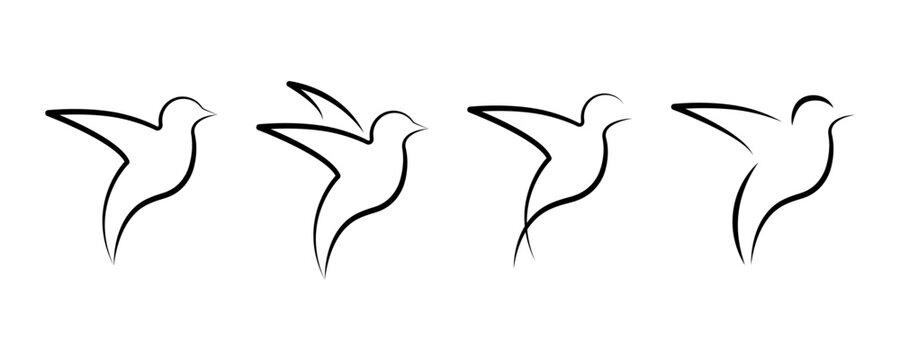 bird outline simple