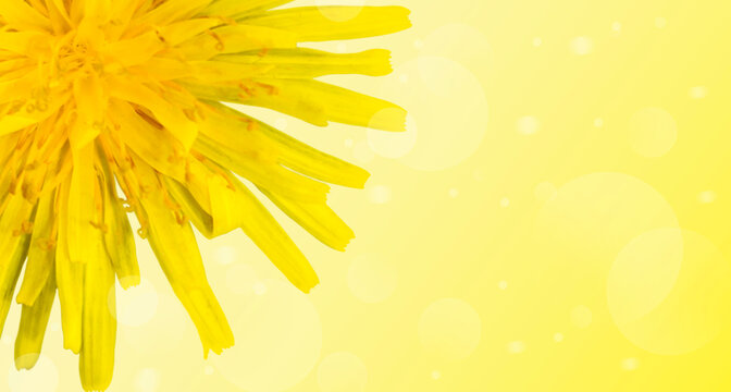 Rabatten bilder – Bläddra bland 479,427 stockfoton, vektorer och videor ...