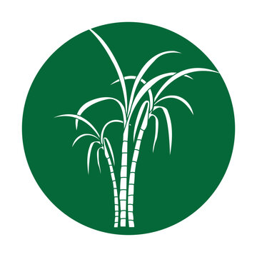 Cane Logo Images – Browse 18,891 Stock Photos, Vectors, and Video ...