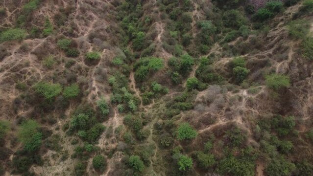 รูปภาพDacoit – เลือกดูภาพถ่ายสต็อก เวกเตอร์ และวิดีโอ771 | Adobe Stock