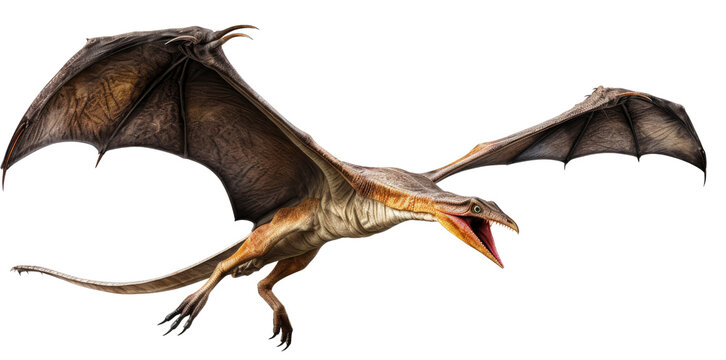 Teradactyl Bilder – Durchsuchen 13,282 Archivfotos, Vektorgrafiken und ...