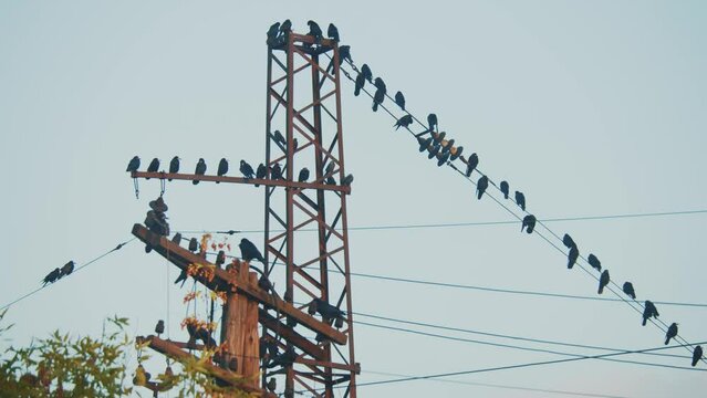 "High Power" Images – Browse 1,390 Stock Photos, Vectors, and Video ...
