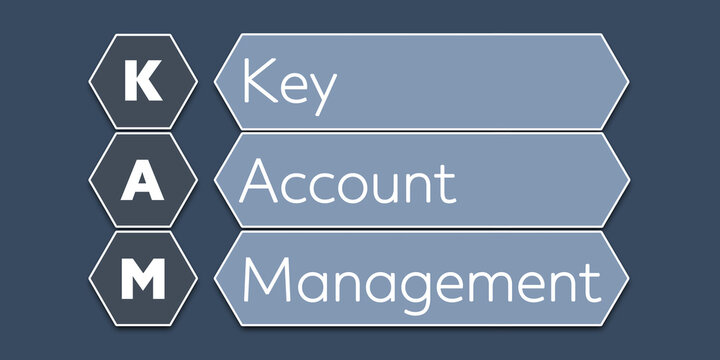 Key Account Manager Bilder – Durchsuchen 3,735 Archivfotos ...