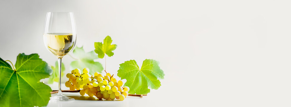 "Wine Banner"-Bilder: Stock-Fotos & -Videos. | Adobe Stock