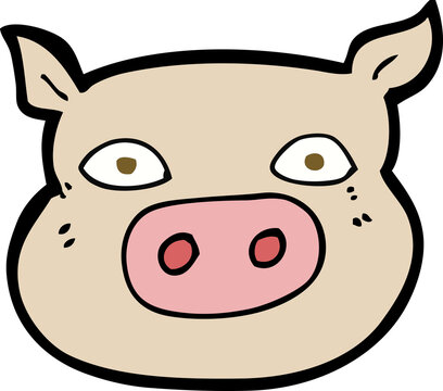 Mean Pig Face Cartoon