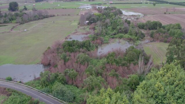 Inundado Images – Browse 362 Stock Photos, Vectors, and Video | Adobe Stock