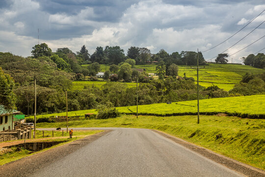 Kericho Town