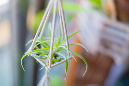 木の柵 Images – Browse 108 Stock Photos, Vectors, and Video | Adobe Stock