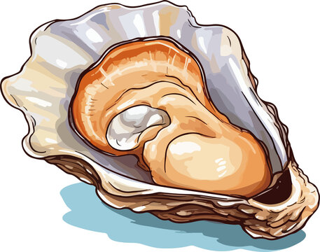 Oyster Shell Cartoon