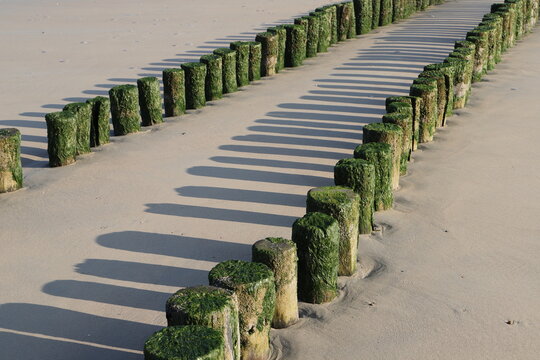 Steinmole Bilder – Durchsuchen 45,730 Archivfotos, Vektorgrafiken und Videos | Adobe Stock