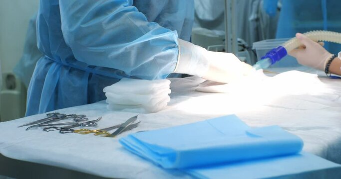 Imagens de "Animal Hospital" – Explore Fotografias do Stock, Vetores e ...