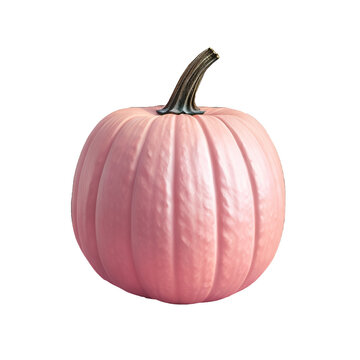 Pink Pumpkin"」の写真素材 | 276件の無料イラスト画像 | Adobe Stock