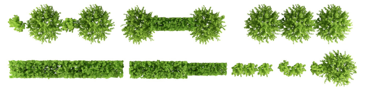 Schrub Bilder – Durchsuchen 3,083,641 Archivfotos, Vektorgrafiken und ...