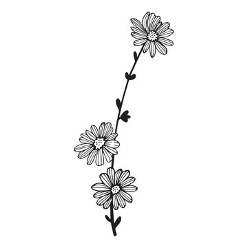 Transparent Tumblr Daisy Chain