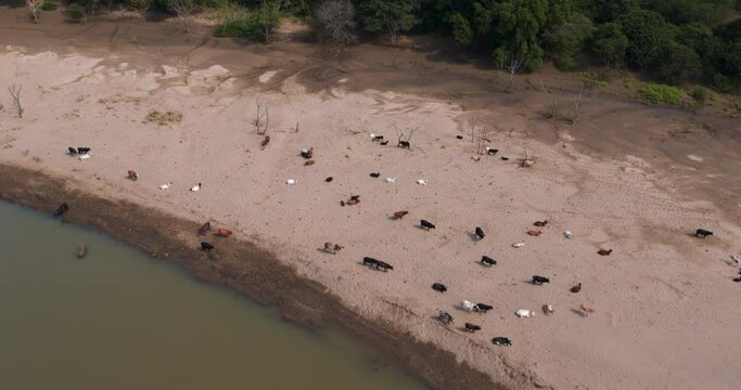 "Tugela River" Images – Browse 269 Stock Photos, Vectors, and Video ...