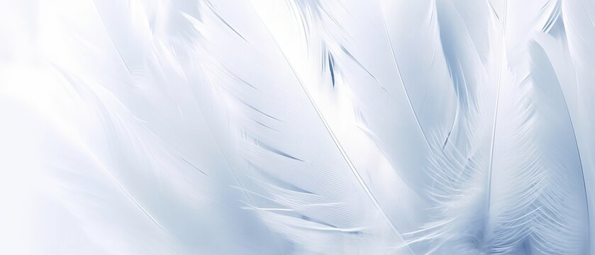 Pale Blue Images – Browse 111,750 Stock Photos, Vectors, and Video ...