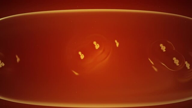 Transport Vesicles Images Browse 5 883 Stock Photos Vectors And