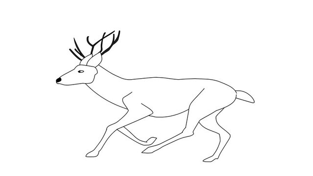 "Run Cycle Deer Bilder – Durchsuchen 347 Archivfotos, Vektorgrafiken ...