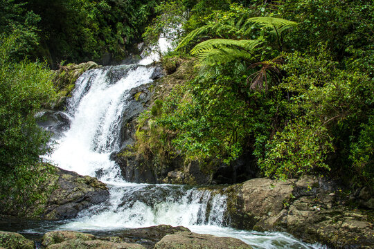 Kaiate Images – Browse 53 Stock Photos, Vectors, and Video | Adobe Stock