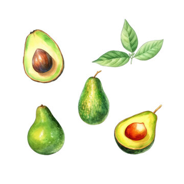 "Avocado Graphic" Images – Browse 48 Stock Photos, Vectors, and Video ...