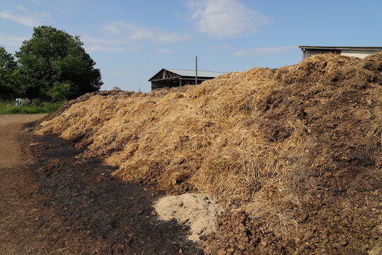 "Dung Heap"-Bilder: Stock-Fotos & -Videos. | Adobe Stock