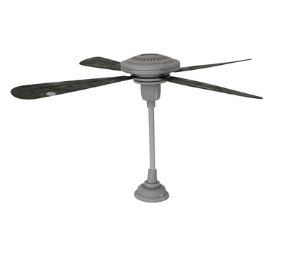 Elice Images – Browse 58 Stock Photos, Vectors, and Video | Adobe Stock