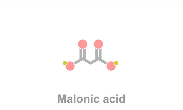 Malonic Acid Lewis Structure