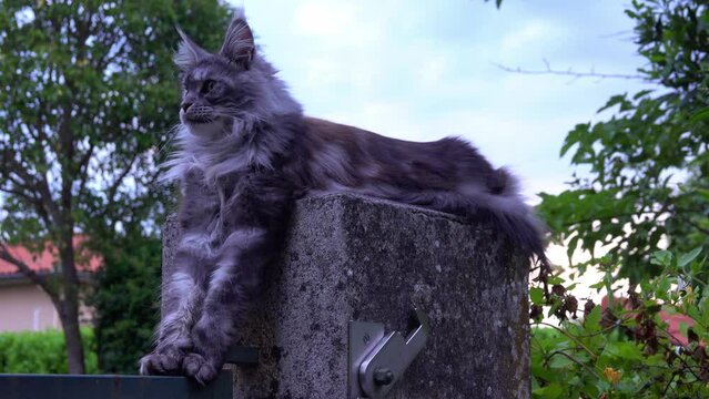 Gatekeeper Images – Browse 3,398 Stock Photos, Vectors, and Video ...