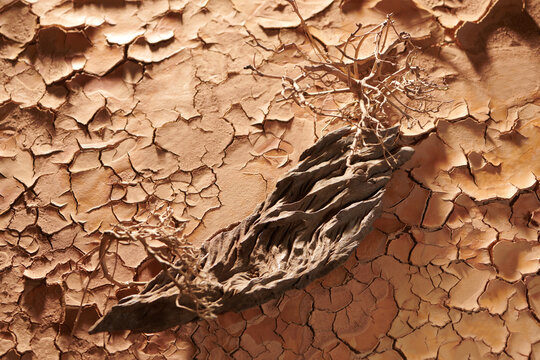 Erde Dreck Bilder – Durchsuchen 3,423,423 Archivfotos, Vektorgrafiken ...