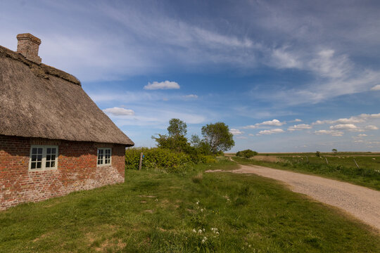「Toftum」の写真素材 | 44件の無料イラスト画像 | Adobe Stock