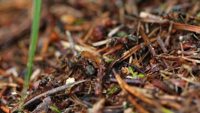 Teem Images – Browse 3,830 Stock Photos, Vectors, and Video | Adobe Stock