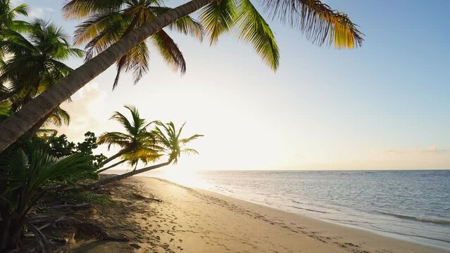 "Sea Scene" Images – Browse 845 Stock Photos, Vectors, and Video ...