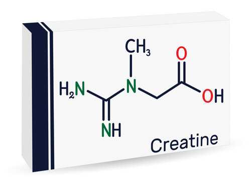 รูปภาพCreatinine – เลือกดูภาพถ่ายสต็อก เวกเตอร์ และวิดีโอ727 | Adobe Stock