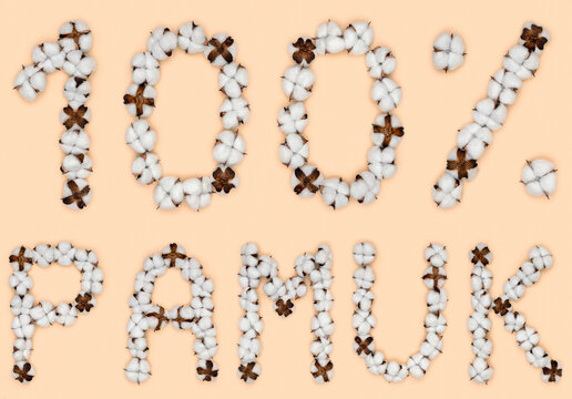 รูปภาพPamuk – เลือกดูภาพถ่ายสต็อก เวกเตอร์ และวิดีโอ925 | Adobe Stock