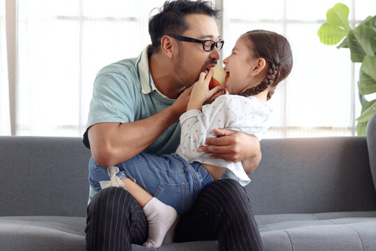 รูปภาพ"Lap – เลือกดูภาพถ่ายสต็อก เวกเตอร์ และวิดีโอ182,405 | Adobe Stock