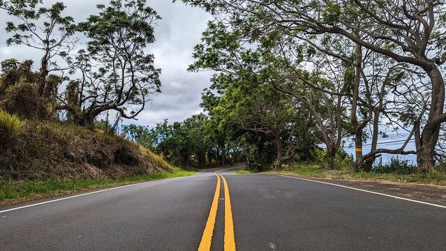 Public Domain Images Of The Road Less Traveled