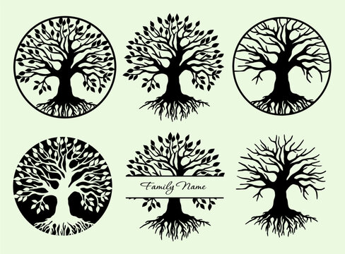 Tree Of Life Clipart