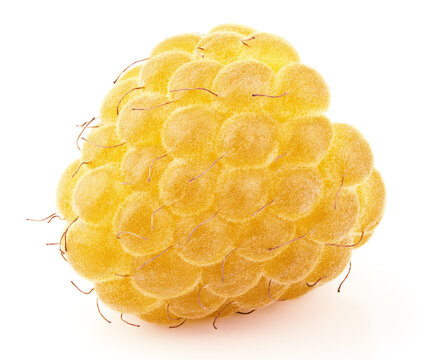 Yellow Raspberries