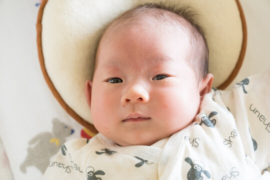 相撲取り Images – Browse 749 Stock Photos, Vectors, and Video | Adobe Stock