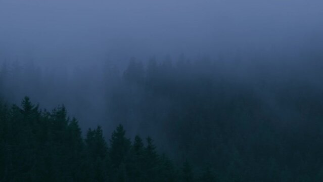 Prolong Images – Browse 8,549 Stock Photos, Vectors, and Video | Adobe ...