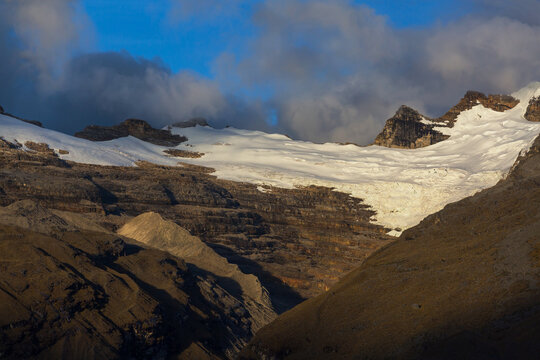 Shrab Images – Browse 40 Stock Photos, Vectors, and Video | Adobe Stock