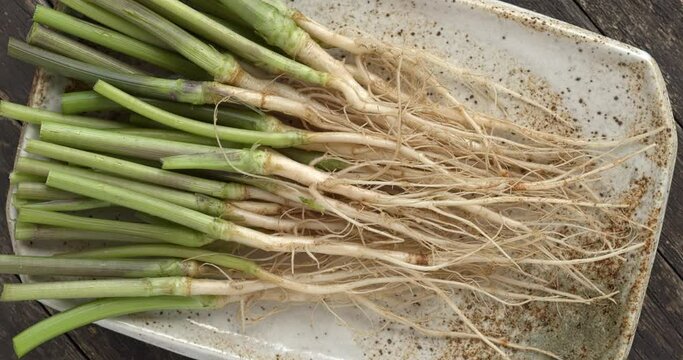 "Coriander Root" Images – Browse 297 Stock Photos, Vectors, and Video ...