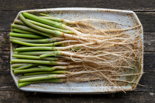 "Coriander Root" Images – Browse 222 Stock Photos, Vectors, and Video ...