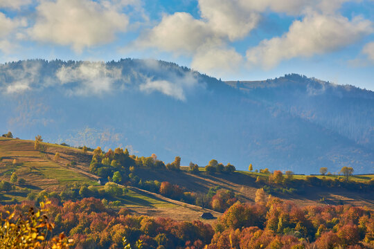 Ryzhkov Oleksandr photos, images, assets | Adobe Stock